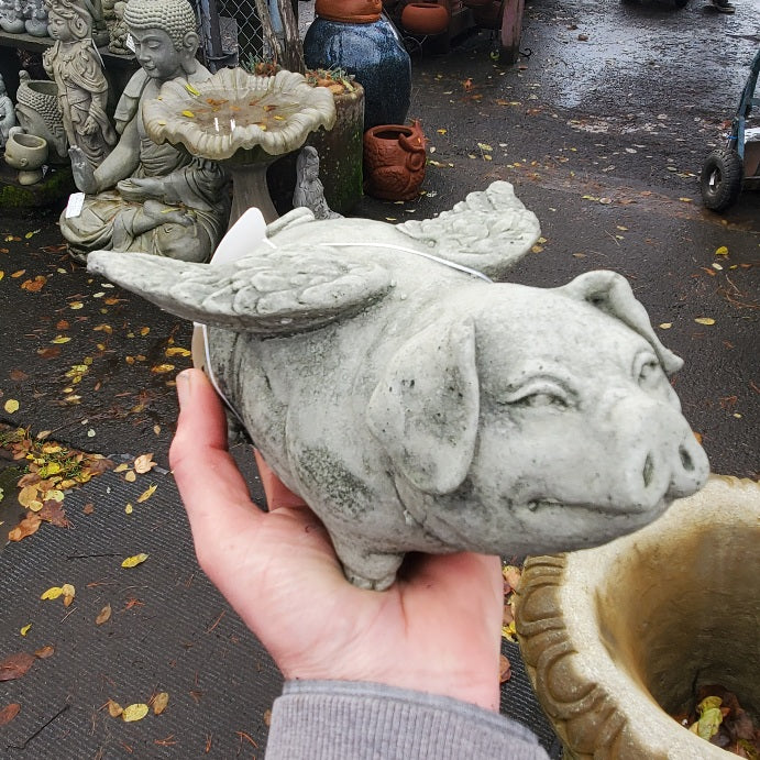 Statuary, Animal | Flying Pig, Stained, Small – Little Baja Home ...