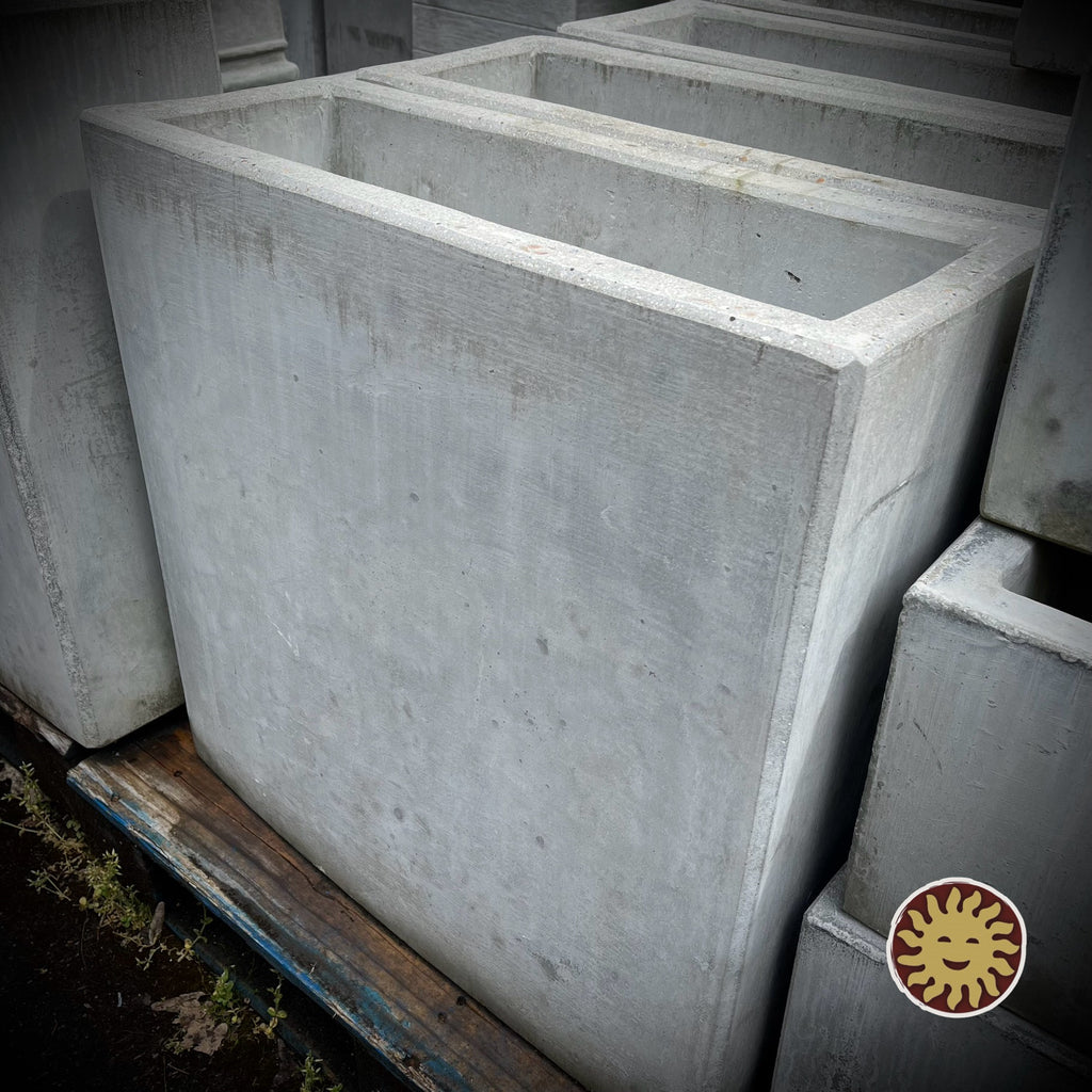 Planter, Concrete | Tall Rectangle Planter (Two Sizes) (Local Pickup O ...